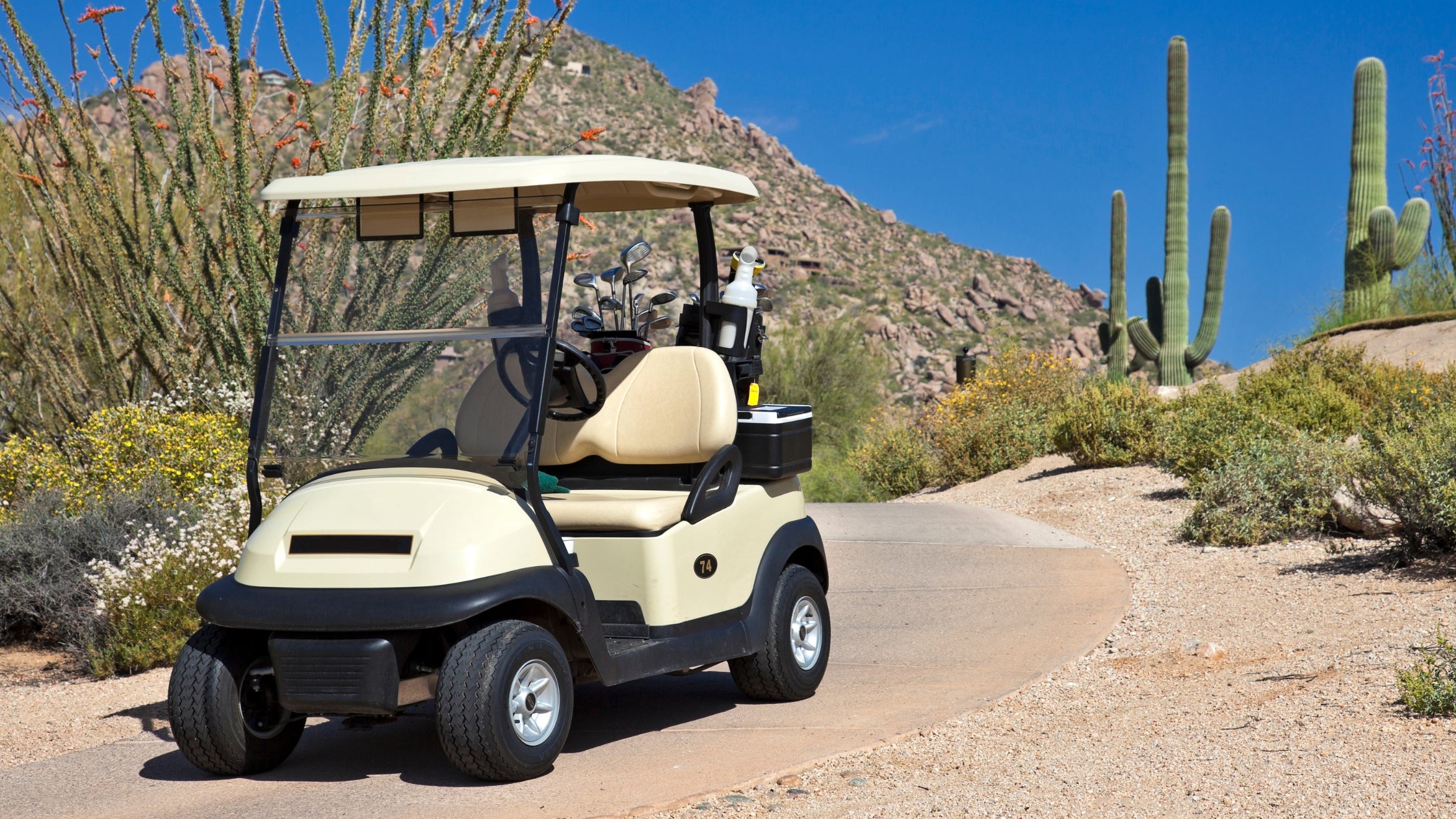 Choosing the Perfect Golf Car for Coachella Valley – Golf Cars of the ...