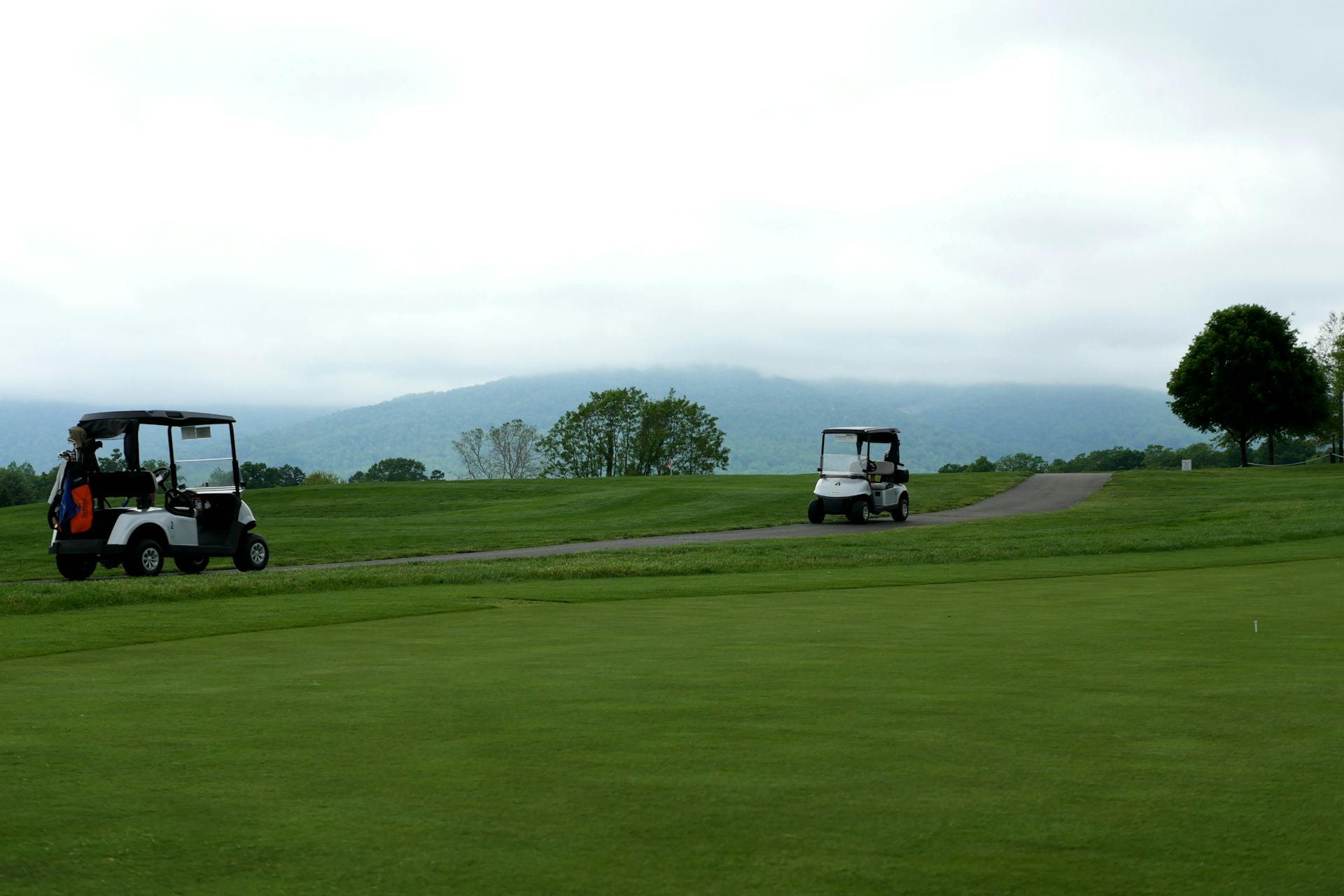 Introducing the World's Fastest Golf Cart - The Bandit – Golf Cars of ...