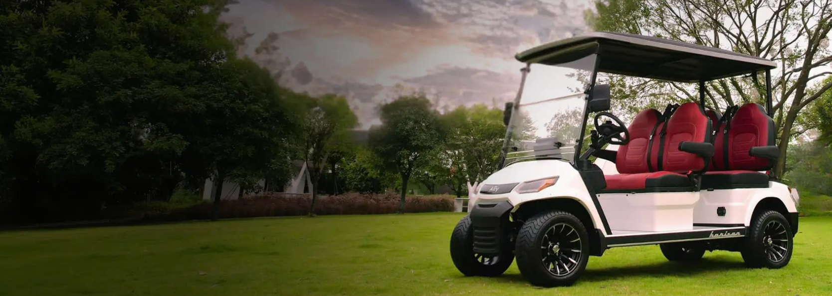 Product Spotlight: 2025 Advanced EV Horizon 4 Golf Car – Golf Cars of ...