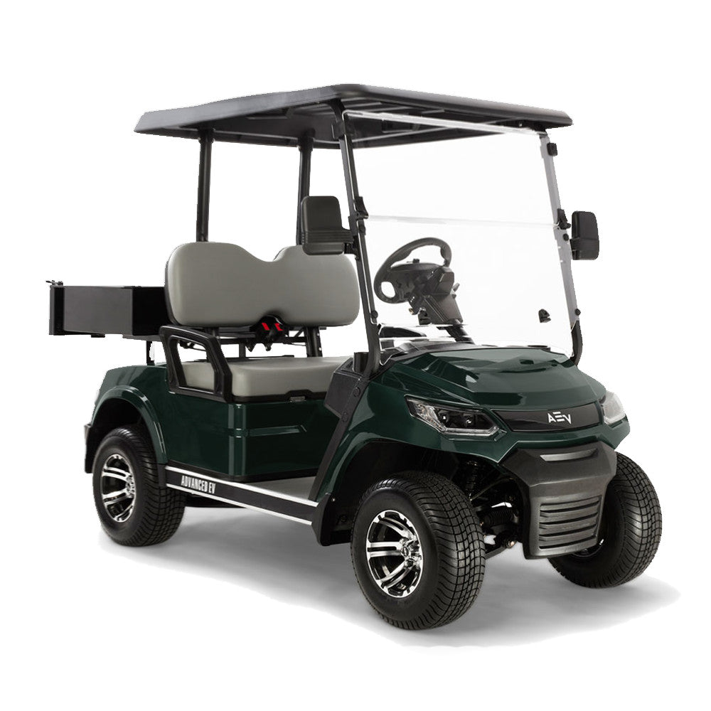 2024 Advanced EV Advent HD CX 2 Seater Electric Utility Golf Car - New ...